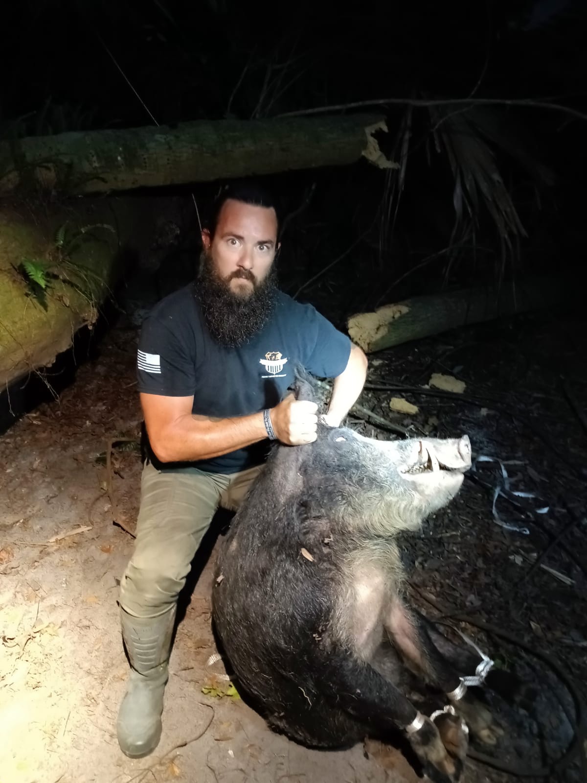 Feral Hog Removal Services in Florida – Protecting Your Property – 321 ...